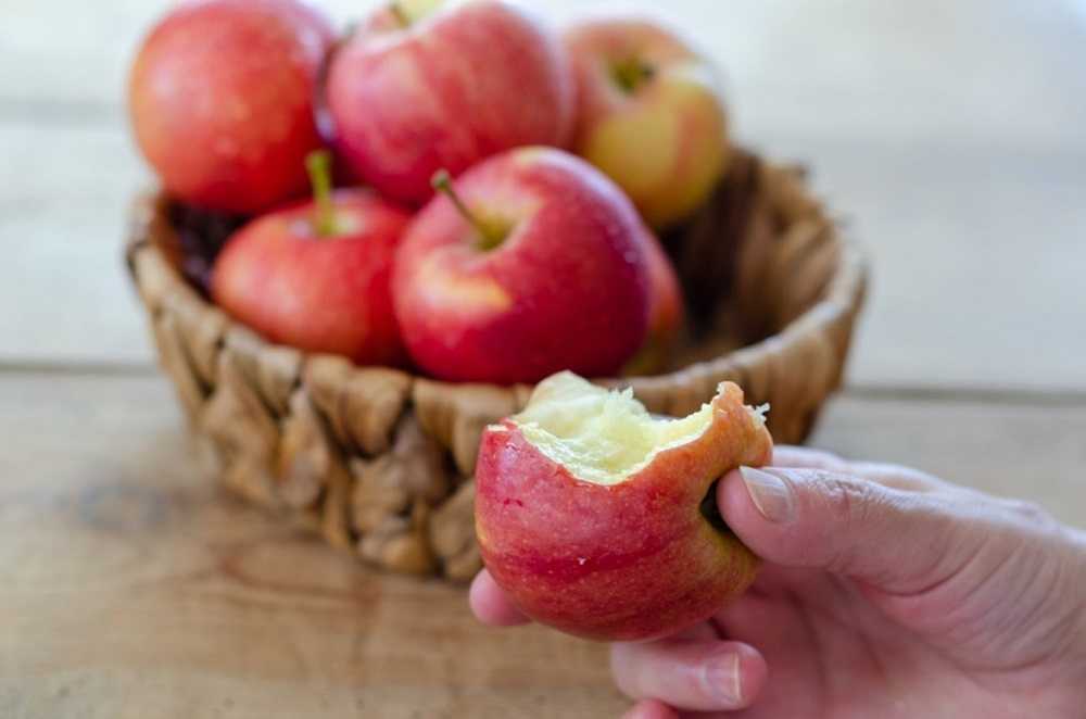 Qué comer después de una indigestión | Gaviscon